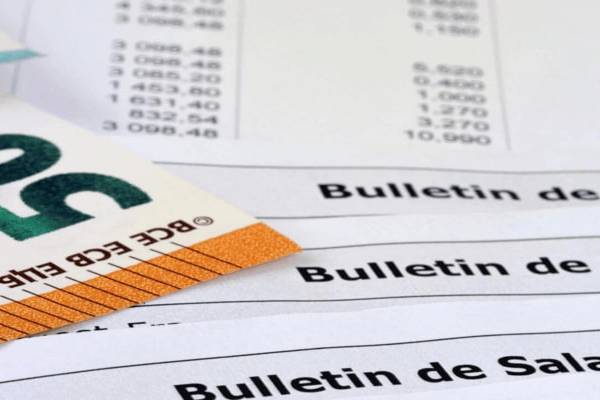 Formulaire Fiche De Paie 2024 | Modèle Bulletin De Paie 2024 – GIAU